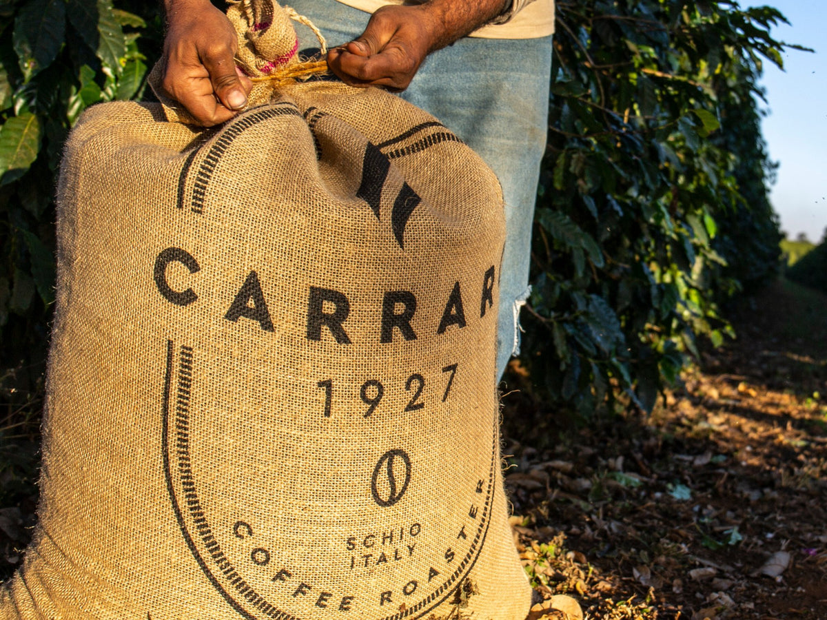 Carraro Gran Crema – Whole Latte Love Canada